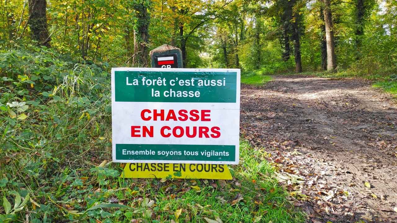 Le Randonneur et le Chasseur - Le Banquier Randonneur